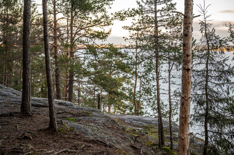 Tuusula - rauhallinen helmi pääkaupungin kupeessa | Hellapoliisi Lifestyle